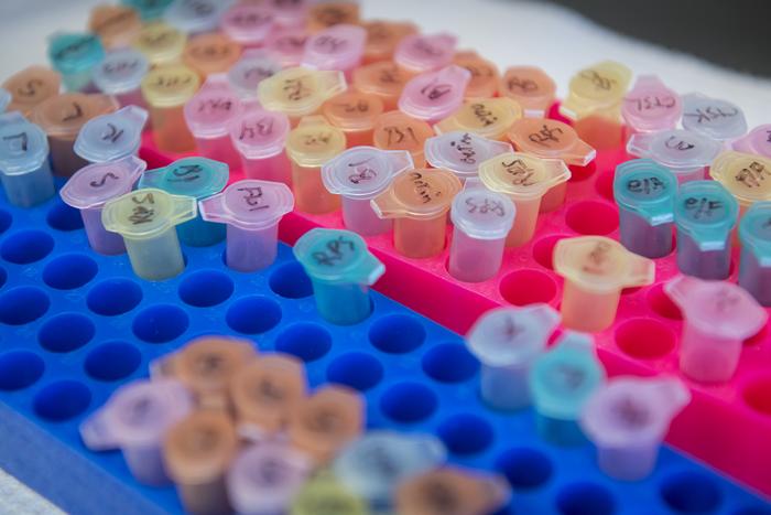 Peyton Lab 2 [IMAGE] | EurekAlert! Science News Releases