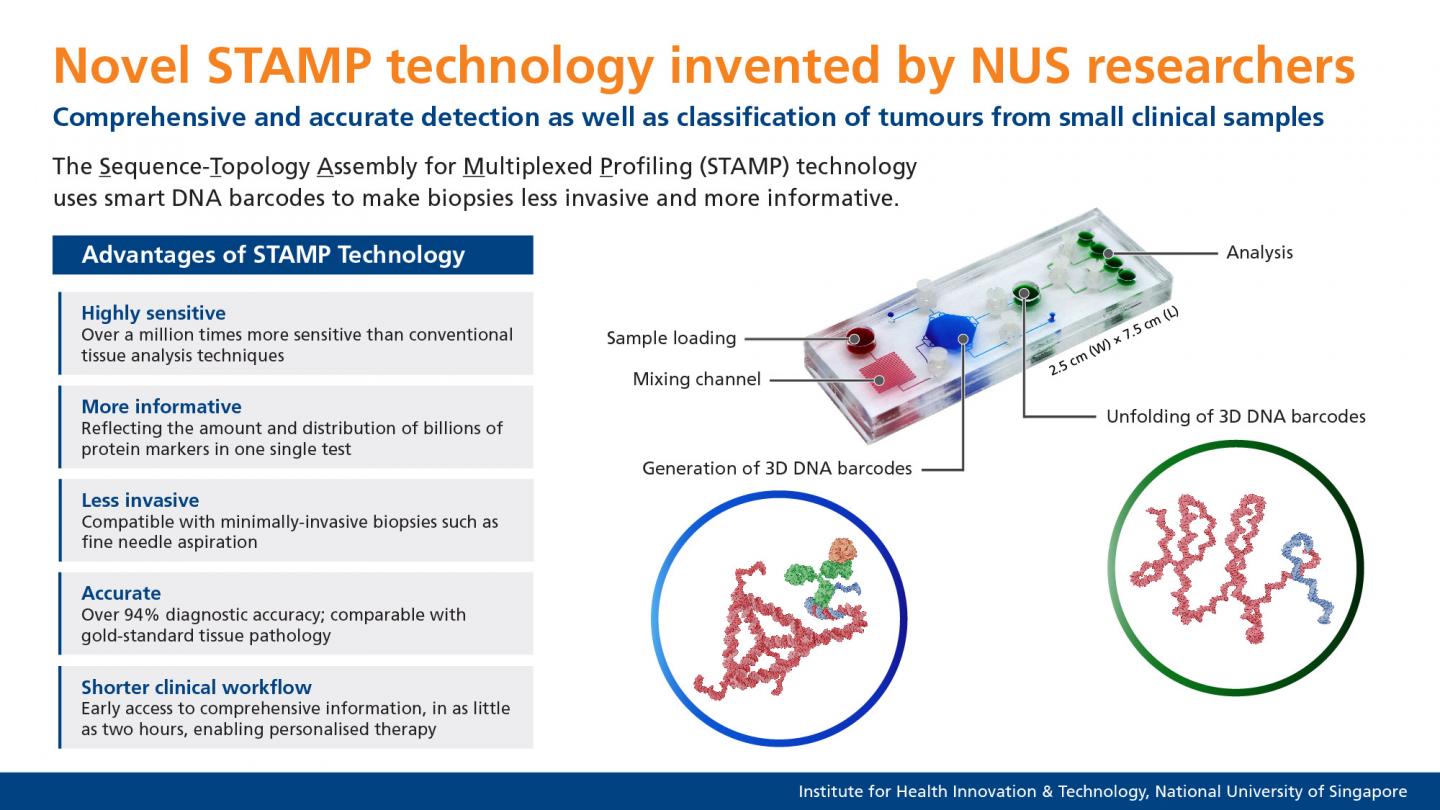 Novel STAMP Technology Invente [IMAGE] | EurekAlert! Science News Releases