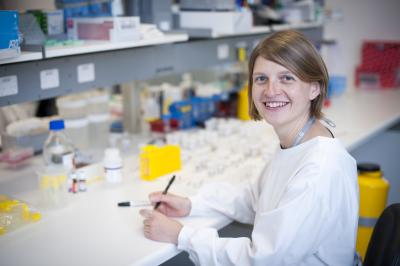 Dr. Rachael Rutkowski, Walter [IMAGE] | EurekAlert! Science News Releases