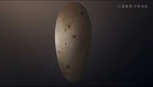 Rare dinosaur embryo exquisitely preserved in | EurekAlert!