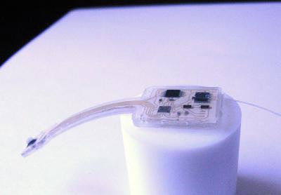 Next-Generation Brain Implants [IMAGE] | EurekAlert! Science News Releases