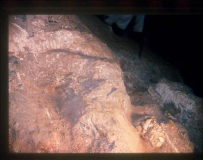 Dating Little Foot [IMAGE] | EurekAlert! Science News Releases