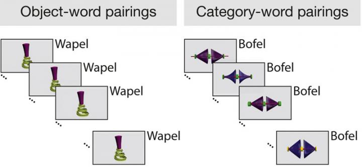 Graphic Word Object Pairings [IMAGE] | EurekAlert! Science News Releases