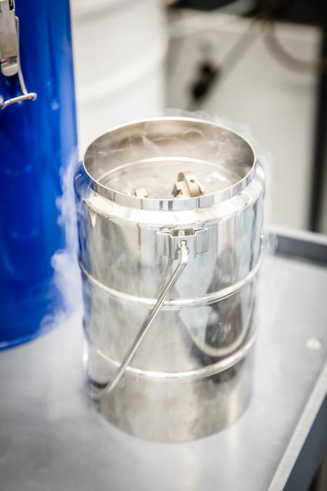 Plunge freezing. [IMAGE] | EurekAlert! Science News Releases