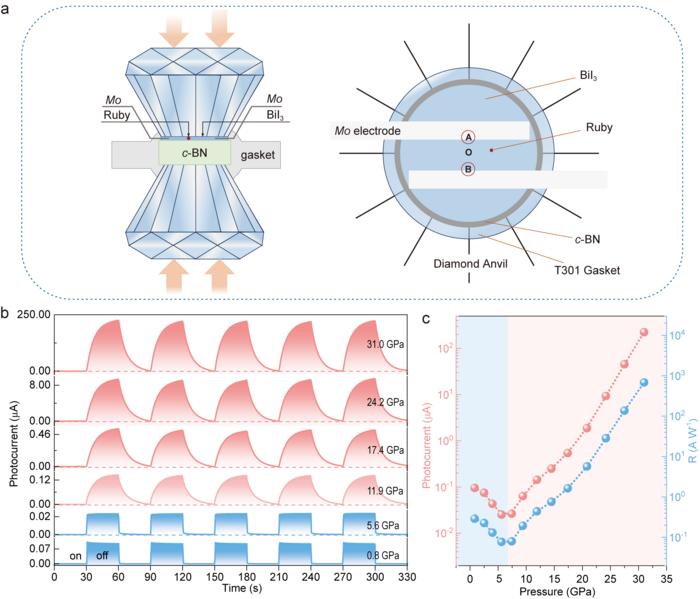 Schematic diagram of the in-si [IMAGE] | EurekAlert! Science News Releases