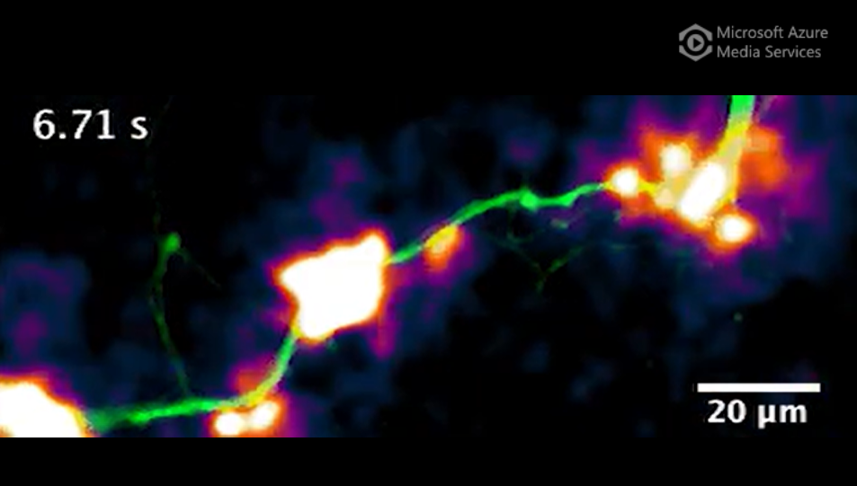 New nanosensor gives unprecedented look at do | EurekAlert!
