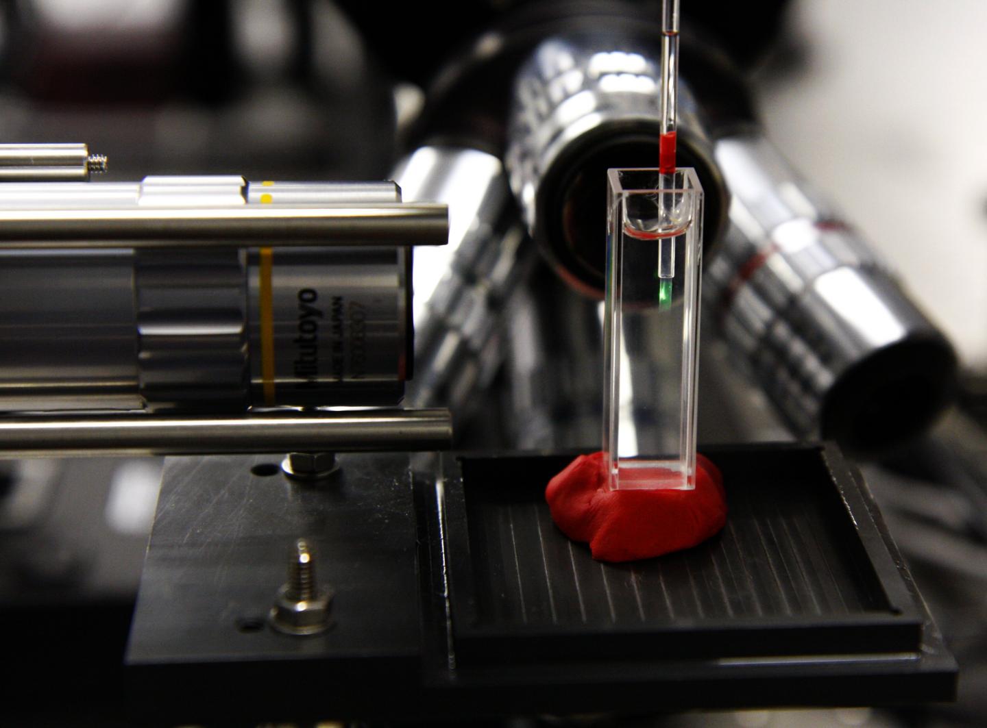 New Technique Captures Real-Ti [IMAGE] | EurekAlert! Science News Releases