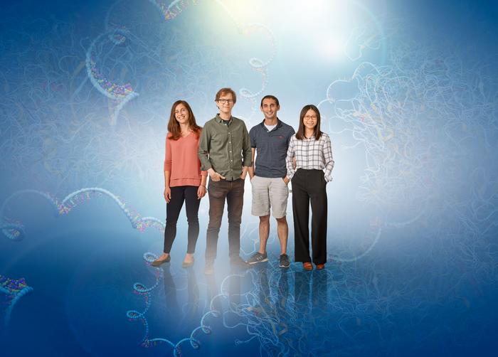 The HIRI researchers involved [IMAGE] | EurekAlert! Science News Releases