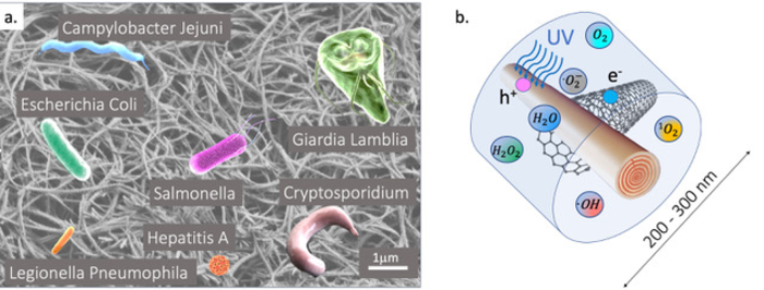 The filtering and sterilizatio [IMAGE] | EurekAlert! Science News Releases