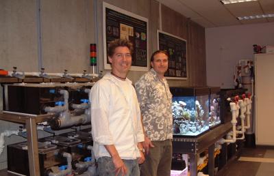 Peacock Mantis Shrimp Hammers [IMAGE] | EurekAlert! Science News Releases
