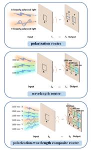 Polarization and wavelength routers based on | EurekAlert!