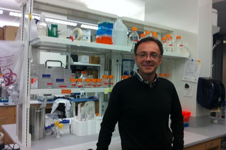 Alessandro Vindigni, Saint Lou [IMAGE] | EurekAlert! Science News Releases