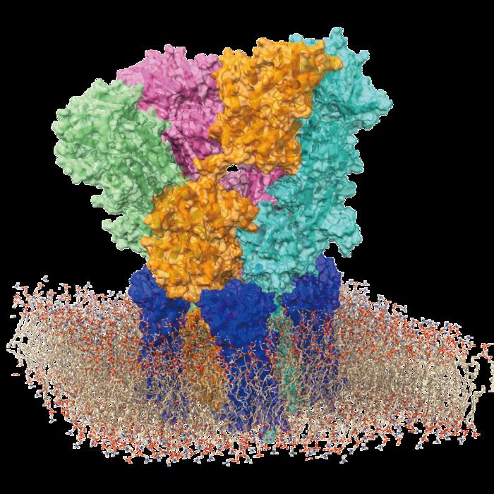 Eye-catching image [IMAGE] | EurekAlert! Science News Releases