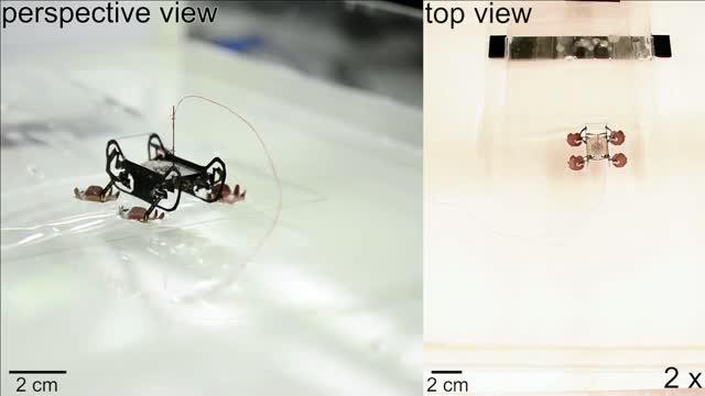 Next-generation robotic cockroach can explore | EurekAlert!