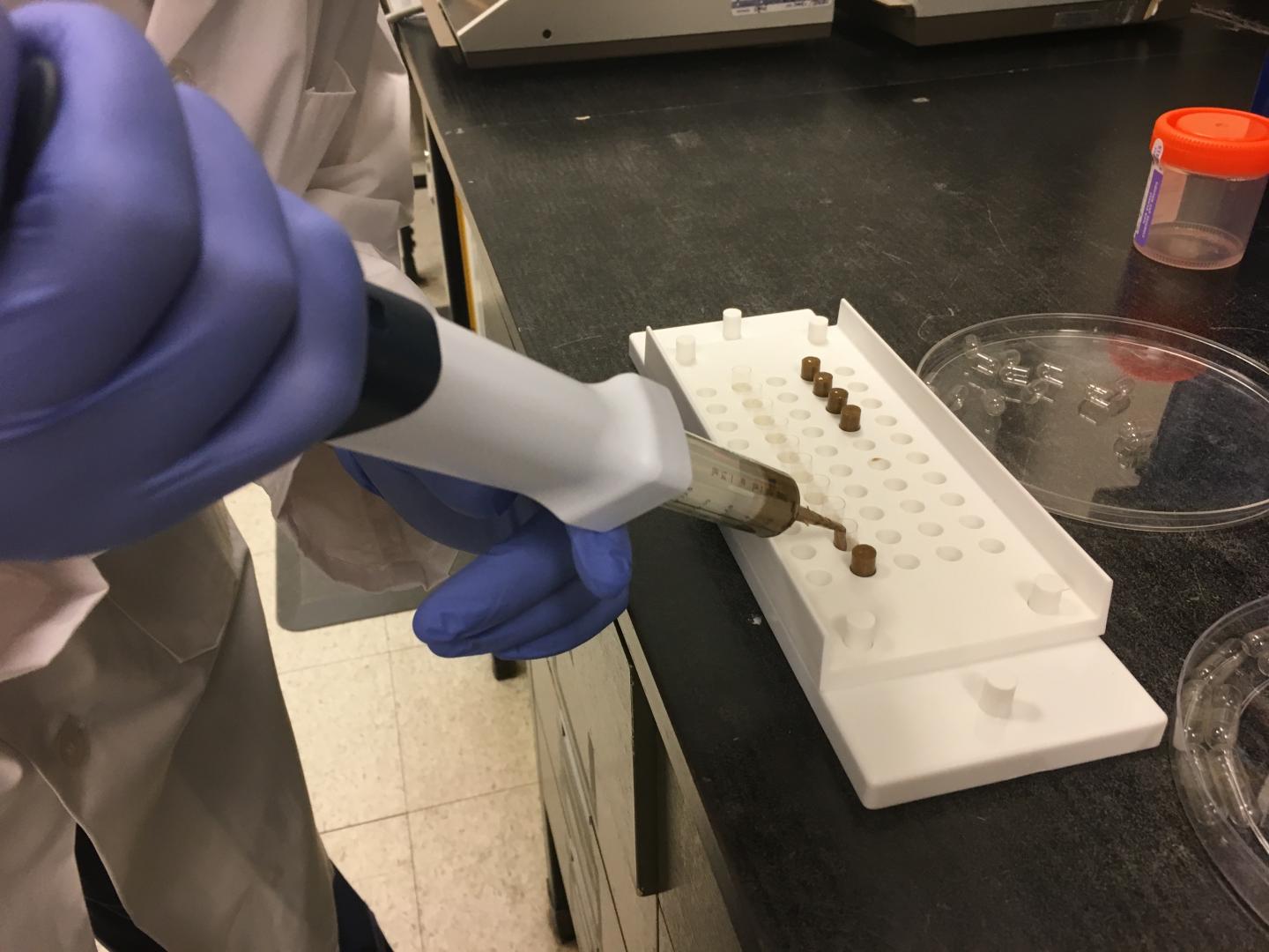 Creating a Fecal Transplant Or [IMAGE] | EurekAlert! Science News Releases