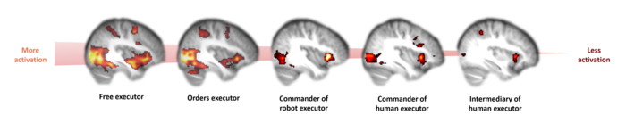 Activation of empathy related [IMAGE] | EurekAlert! Science News Releases