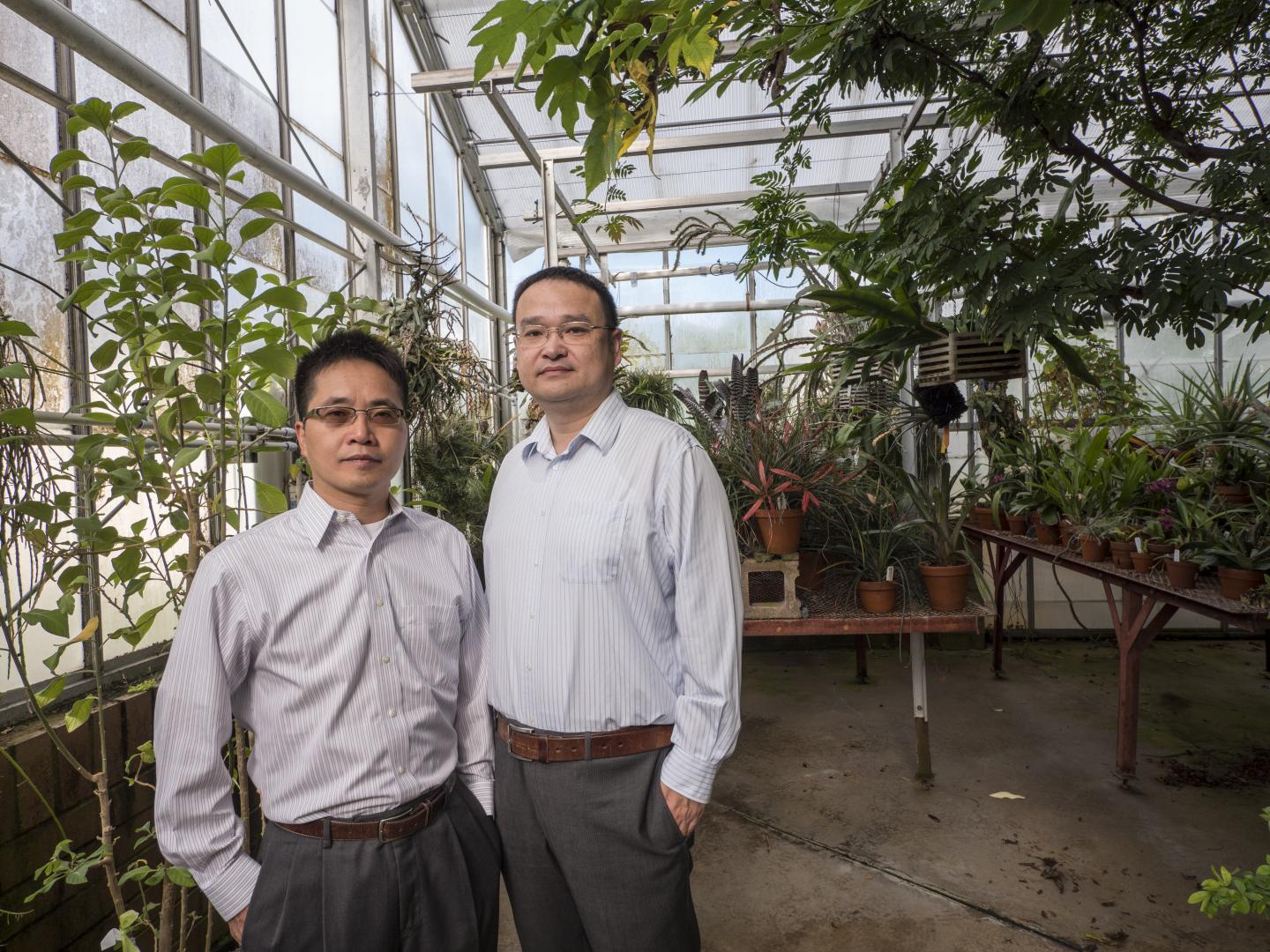 Ronggui Yang and Xiaobo Yin, U [IMAGE] | EurekAlert! Science News Releases