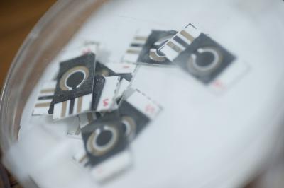 Biosensor Chips [IMAGE] | EurekAlert! Science News Releases