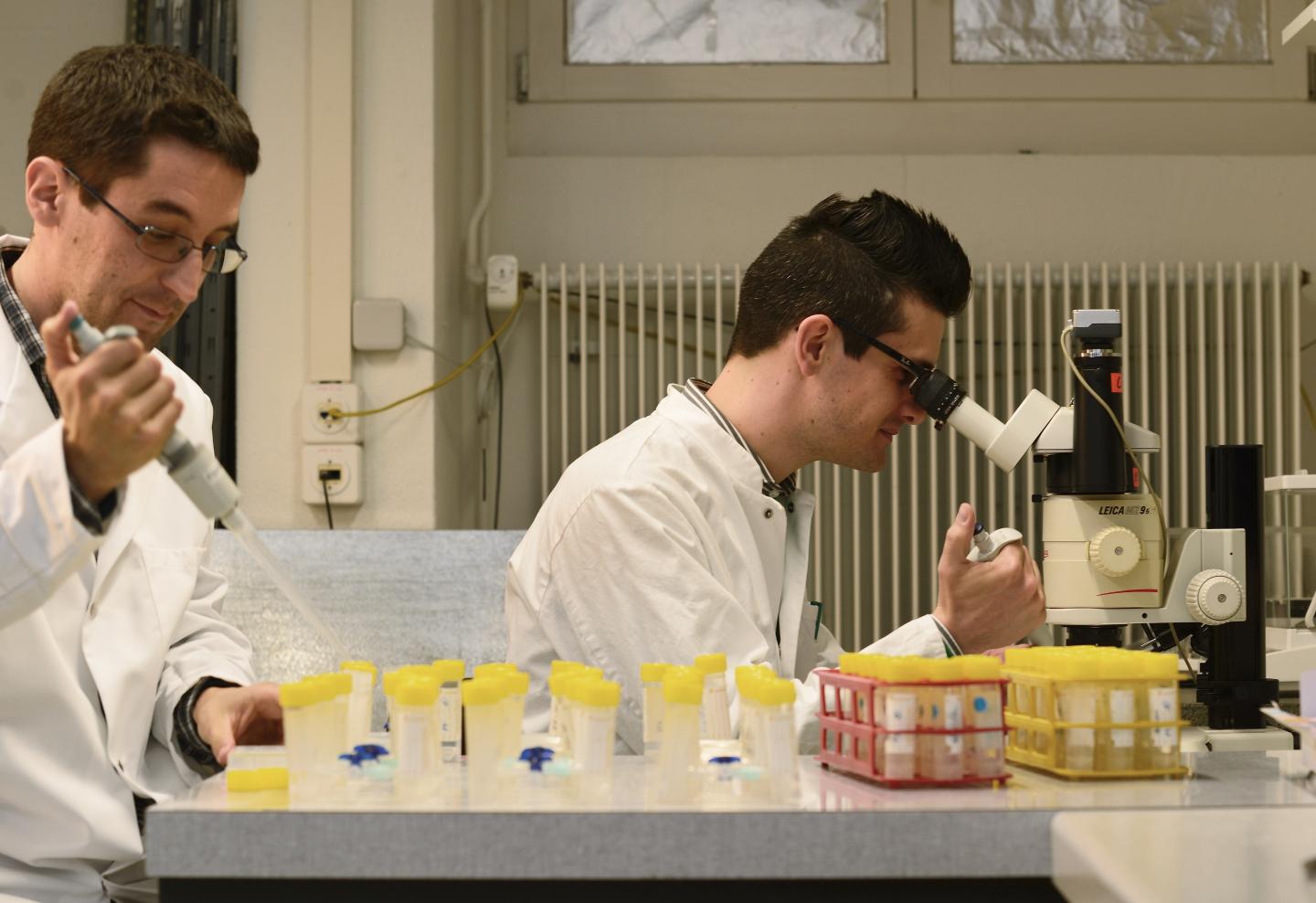 Data Collection [IMAGE] | EurekAlert! Science News Releases