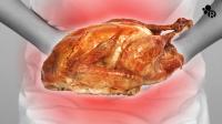 Too much turkey: What happens when you overea | EurekAlert!