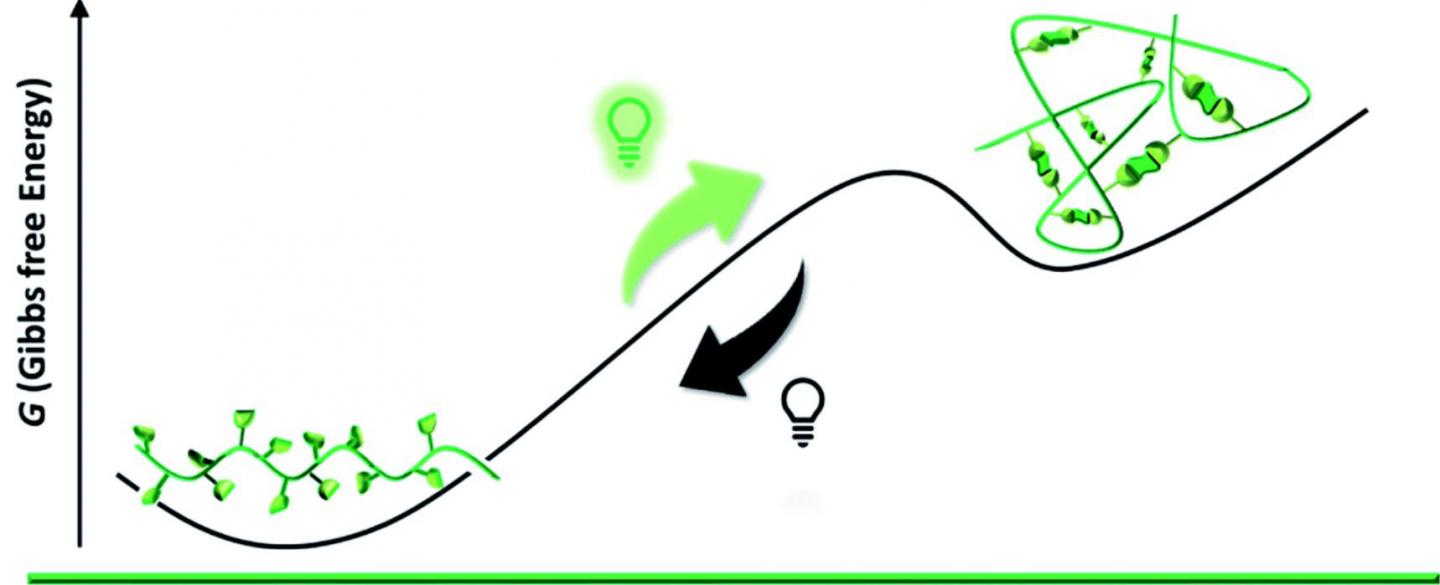 Light-fueled synthetic polymer [IMAGE] | EurekAlert! Science News Releases