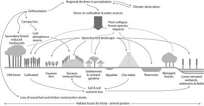 CML Diagram of Human-Environme [IMAGE] | EurekAlert! Science News Releases
