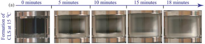 Snap-Shots of the Surfactant S [IMAGE] | EurekAlert! Science News Releases