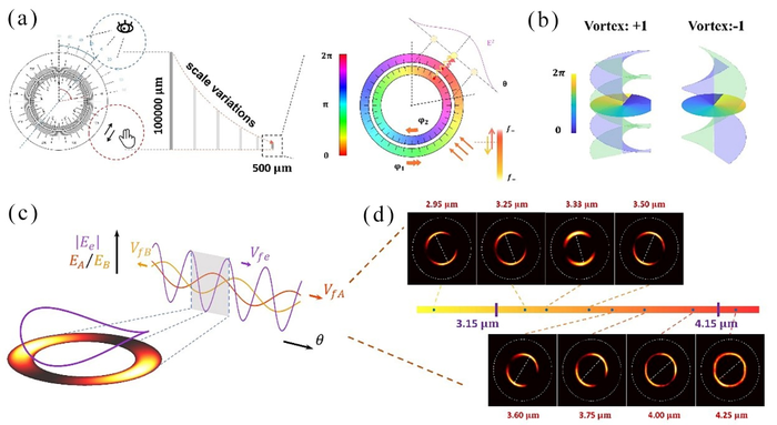 Figure 1 Concept of the metasu [IMAGE] | EurekAlert! Science News Releases