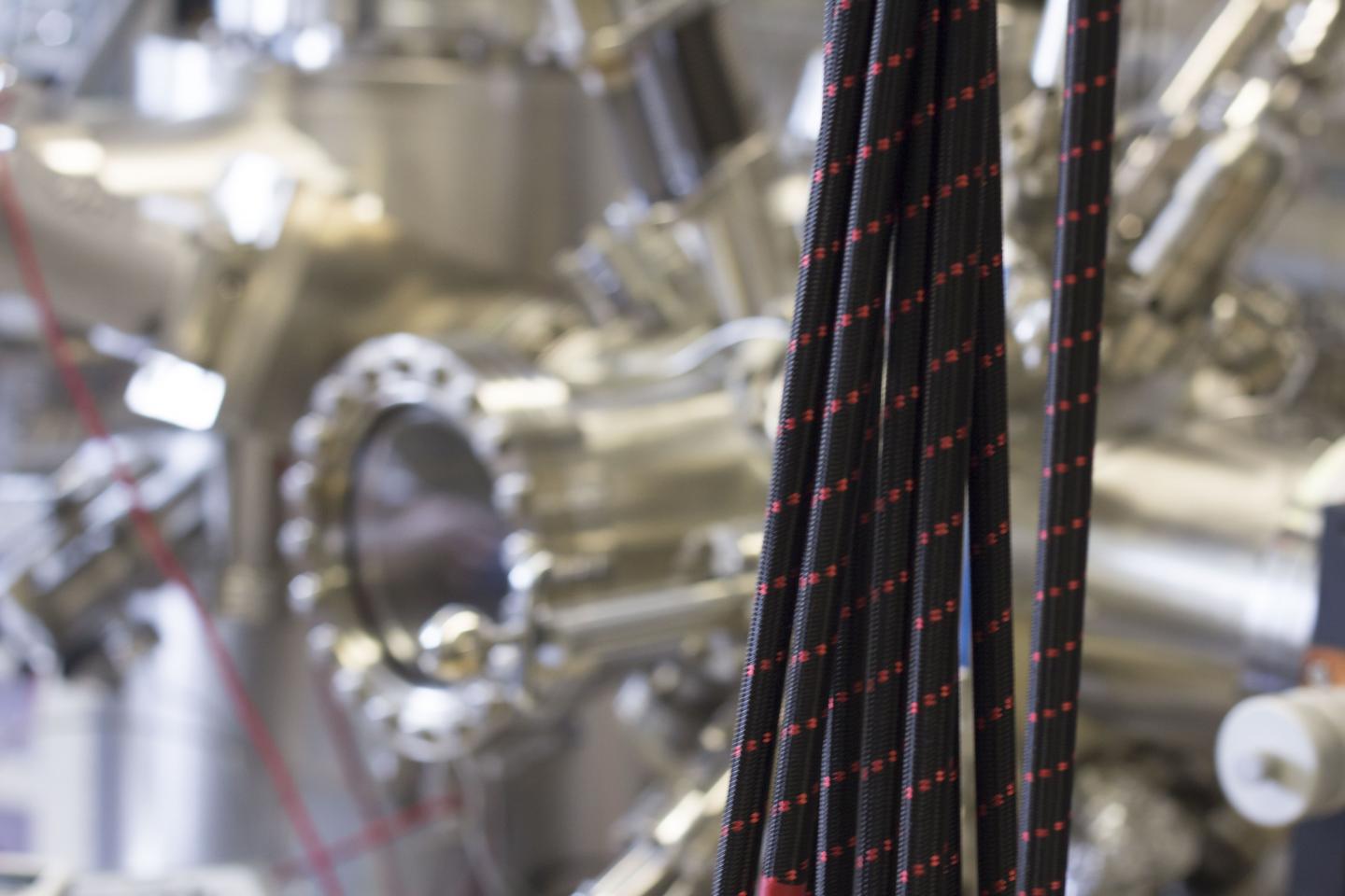 A high-performance microscope dangling from b | EurekAlert!