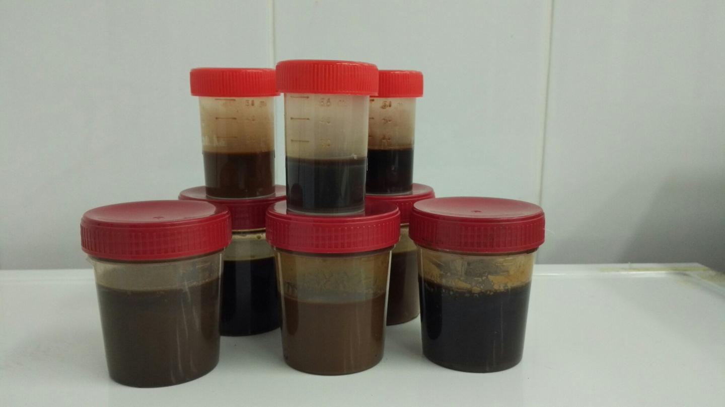Environmentally safe 'super fertilizer' will | EurekAlert!
