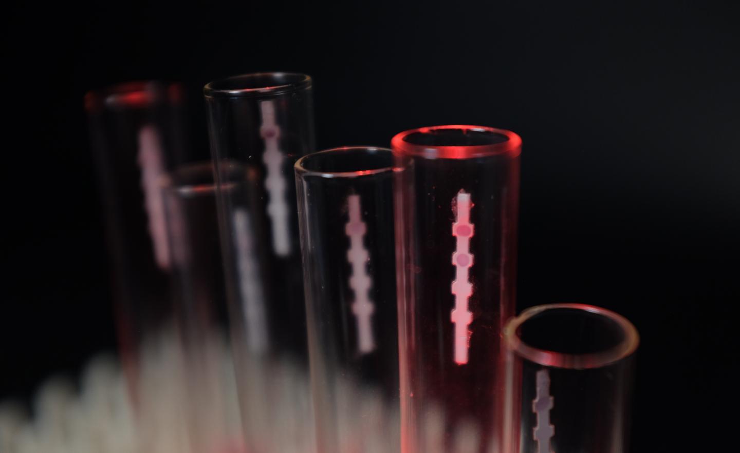 Fast and Accurate "Dipstick" T [IMAGE] | EurekAlert! Science News Releases