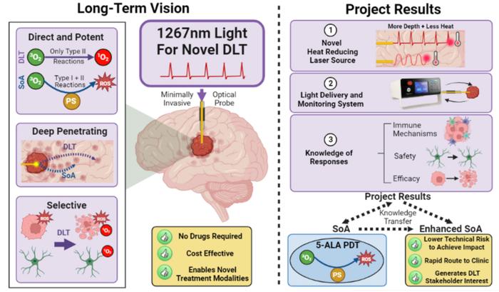 DLT [IMAGE] | EurekAlert! Science News Releases