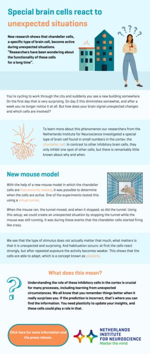 Infographic [IMAGE] | EurekAlert! Science News Releases