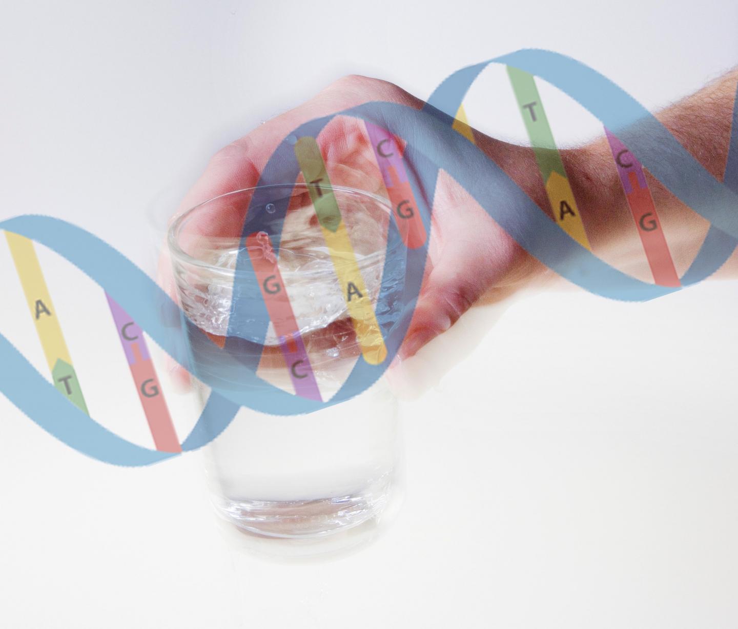 Understanding essential tremor | EurekAlert!