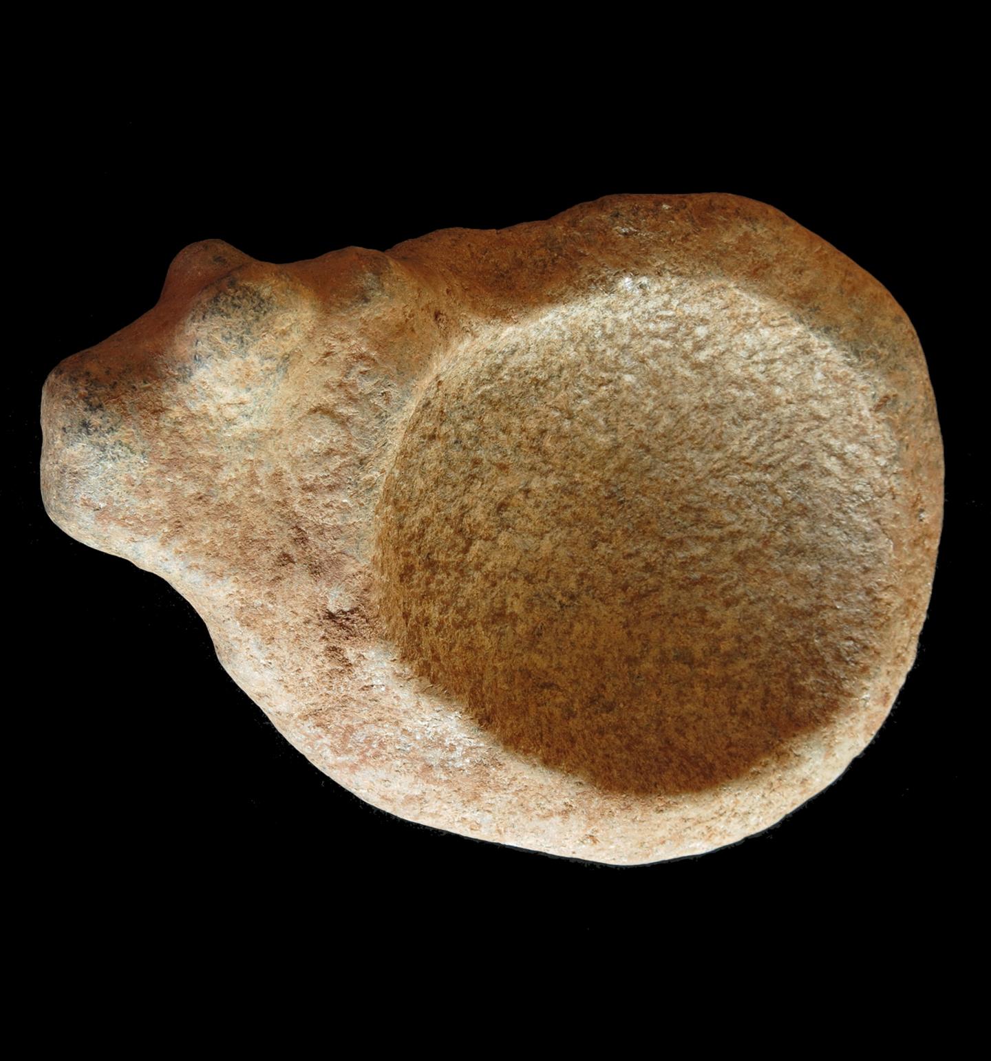 Cow Stone Dish [IMAGE] | EurekAlert! Science News Releases