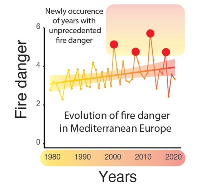 FOREST FIRE [IMAGE] | EurekAlert! Science News Releases