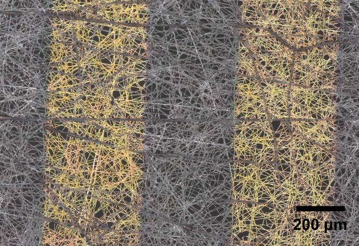 Mesh structure of ultrathin po [IMAGE] | EurekAlert! Science News Releases