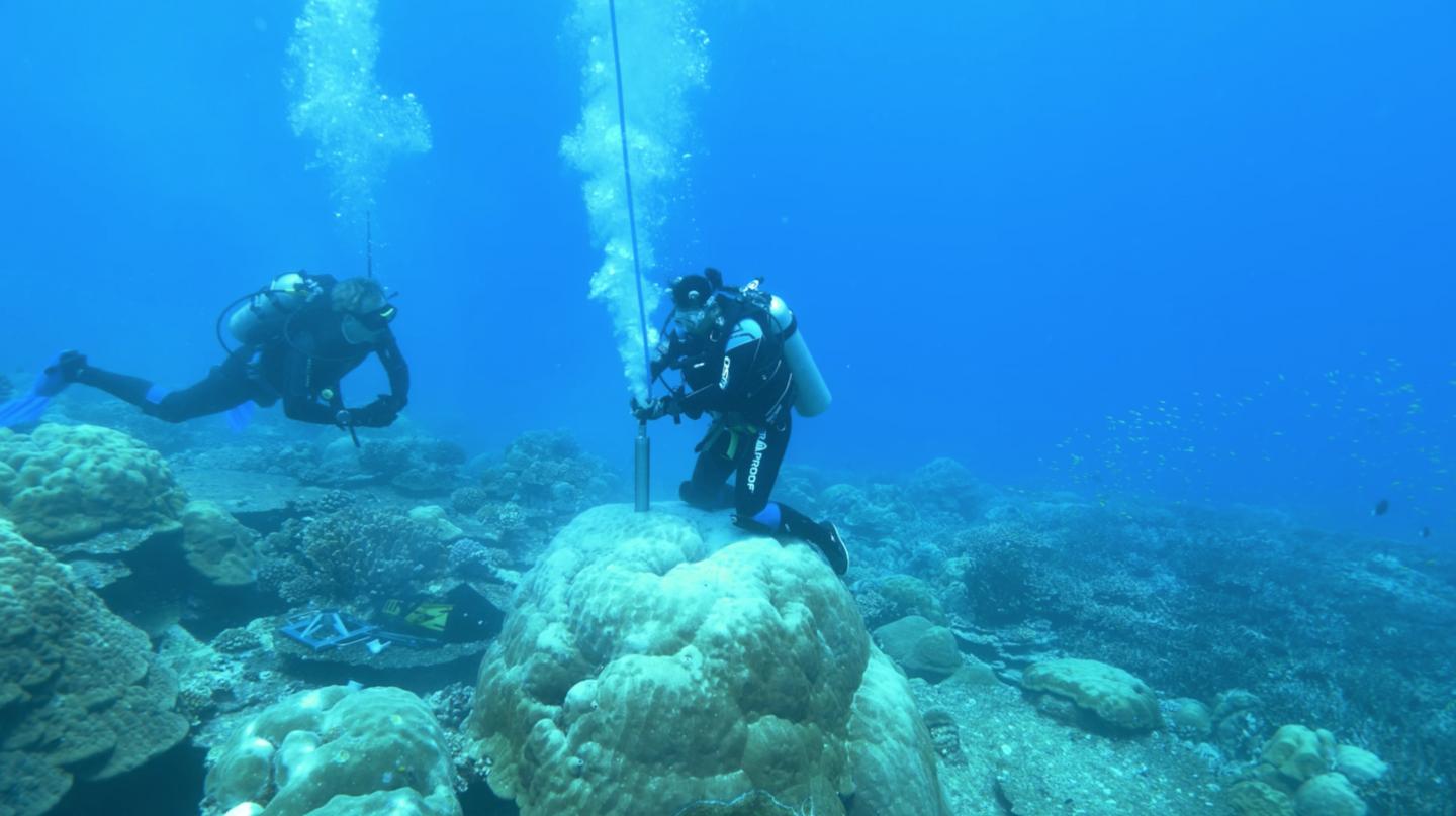 Drilling Coral Cores [IMAGE] | EurekAlert! Science News Releases
