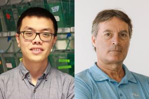 U of T researchers discover compounds produce | EurekAlert!