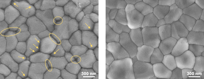 SEM-comparision [IMAGE] | EurekAlert! Science News Releases