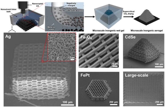 Figure 1 [IMAGE] | EurekAlert! Science News Releases