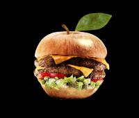 VisiBlends, a new approach to disrupt visual | EurekAlert!