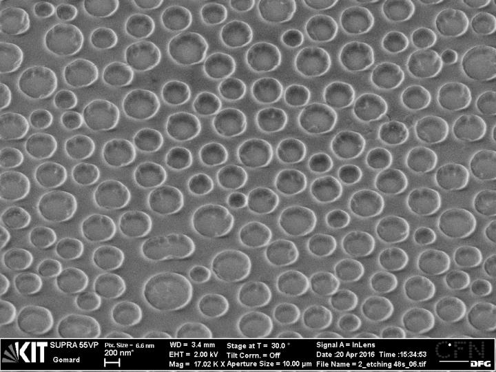 Black Butterfly Wings Can Help Improve Solar | EurekAlert!