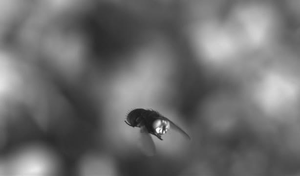 Technology Puts 'Touch' Into Long-distance Re | EurekAlert!