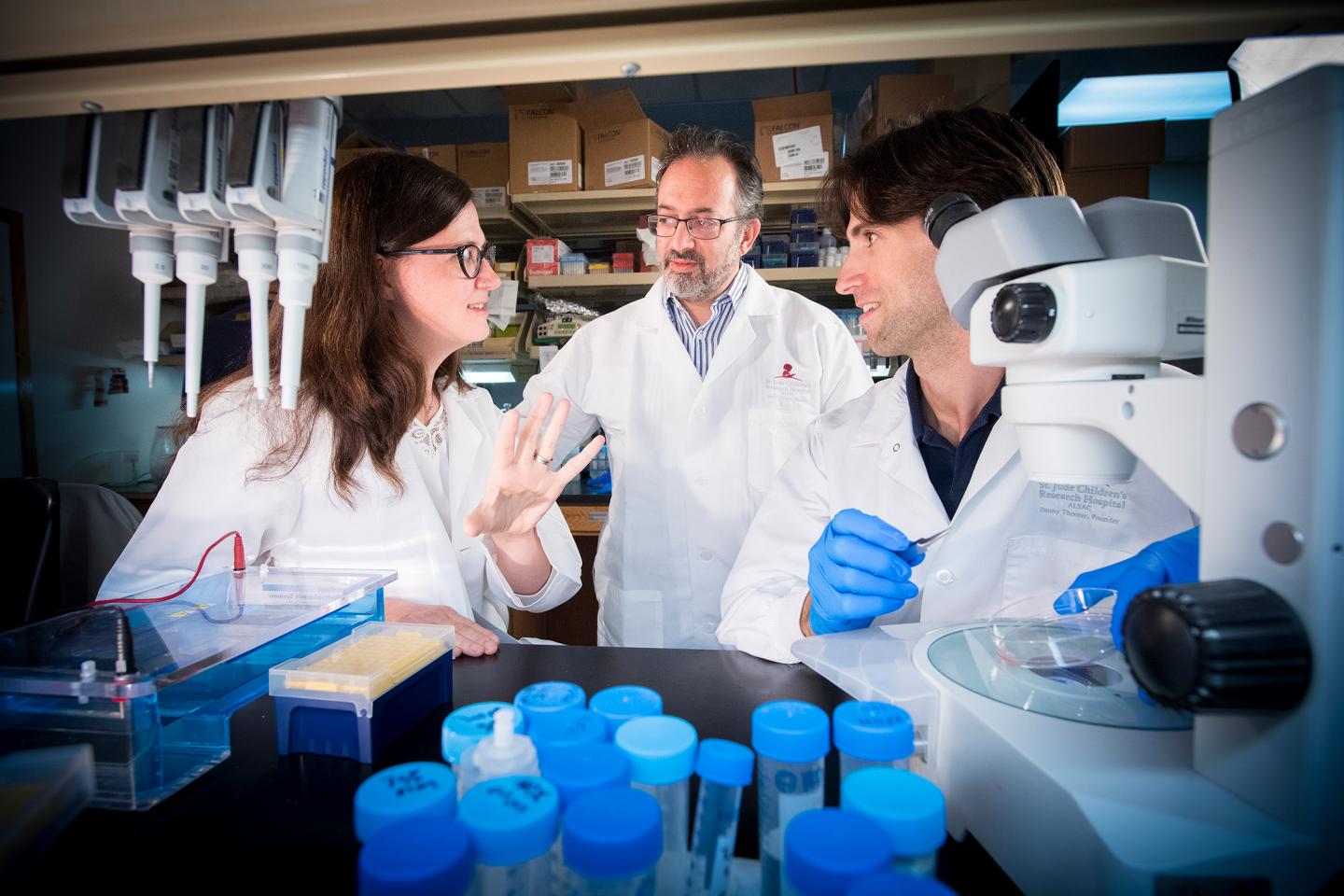 Life-Long Blood Production Dep [IMAGE] | EurekAlert! Science News Releases