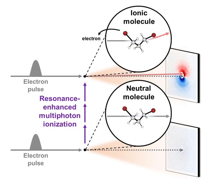 Epic of a molecular ion: With eyes of electro | EurekAlert!