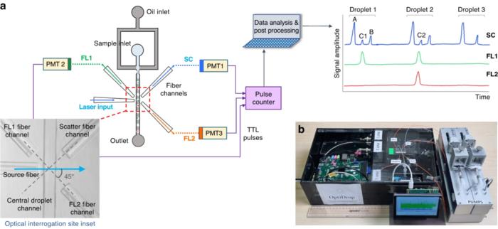 Device setup. [IMAGE] | EurekAlert! Science News Releases