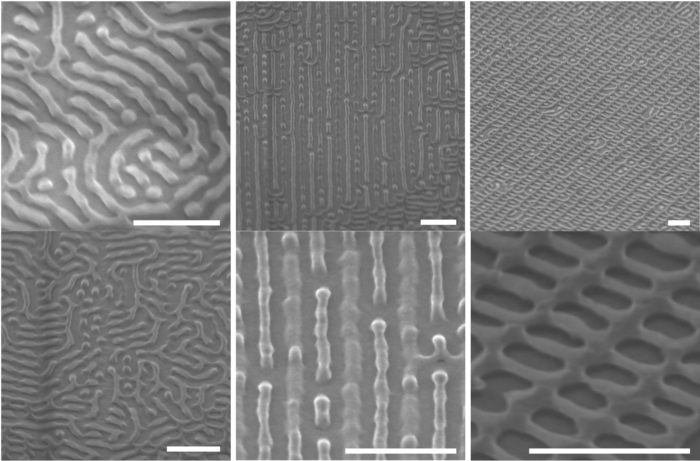 SEM Images of New Nanostructur [IMAGE] | EurekAlert! Science News Releases