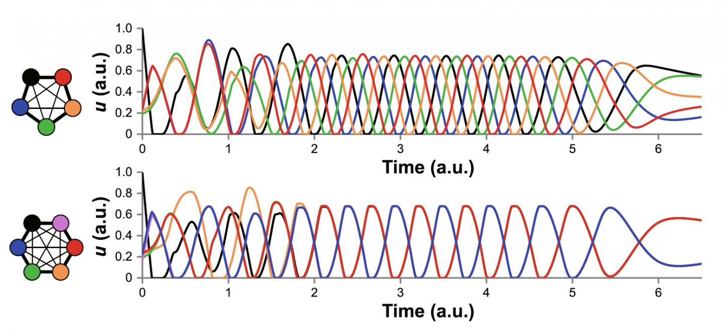 The Pumping Movements [IMAGE] | EurekAlert! Science News Releases