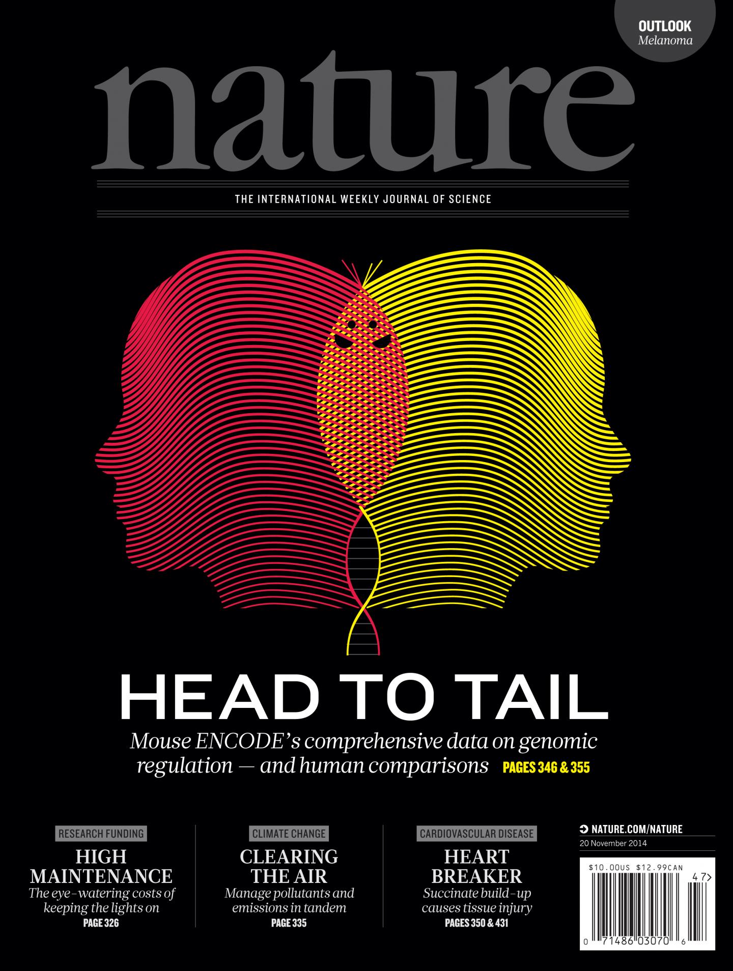 Illustration of the Mouse ENCO [IMAGE] | EurekAlert! Science News Releases